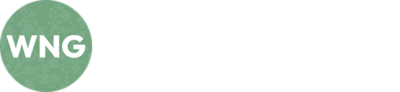 Homepage - Washington Network Group